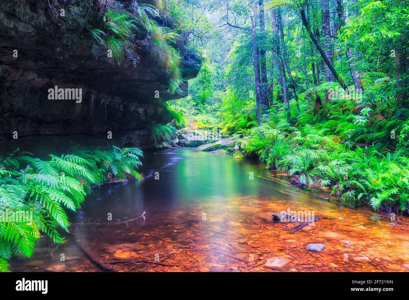 Rainforest and steep mountains hi-res stock photography and images - Alamy