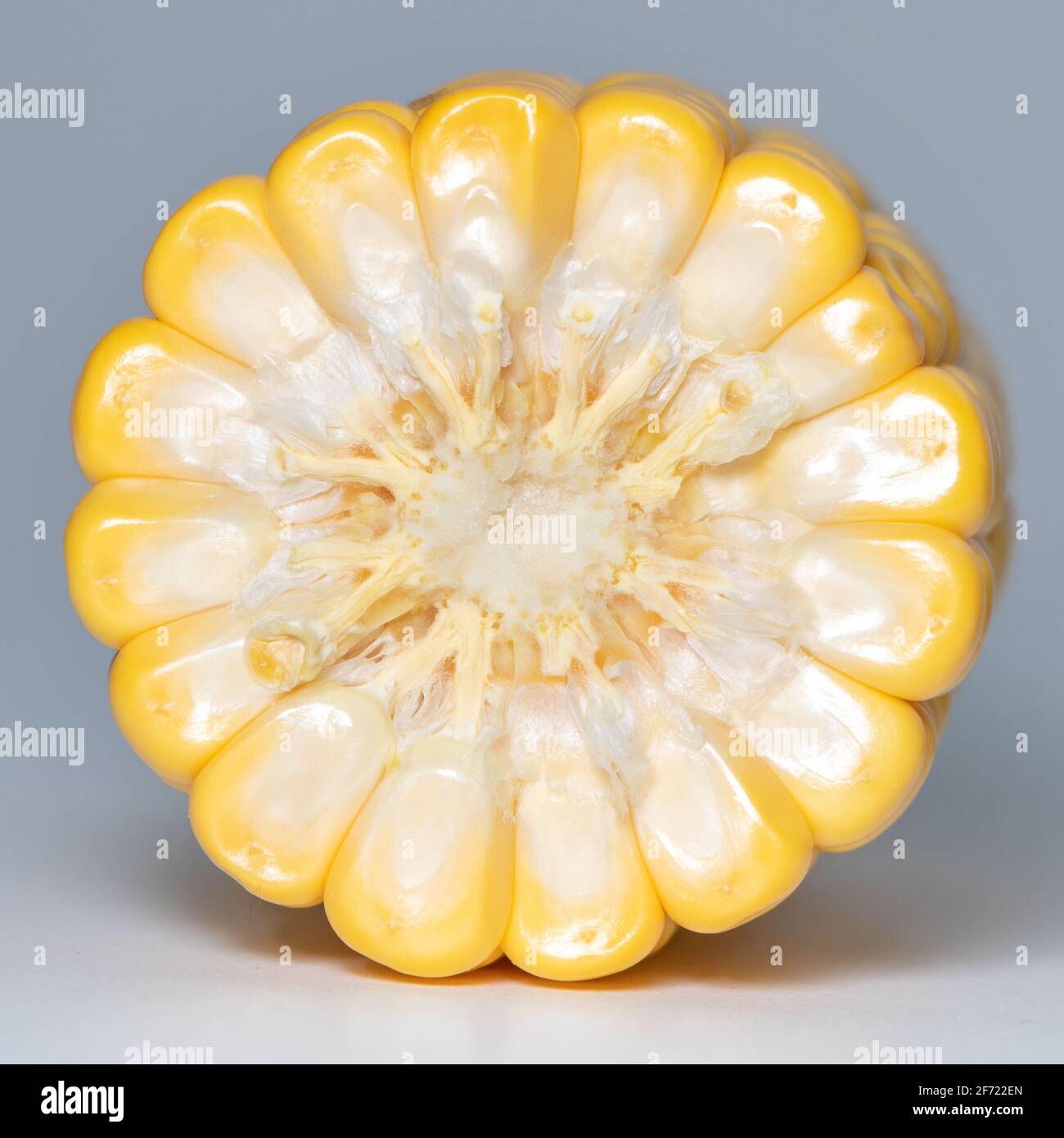 ears of Sweet corn isolated on white background Stock Photo - Alamy