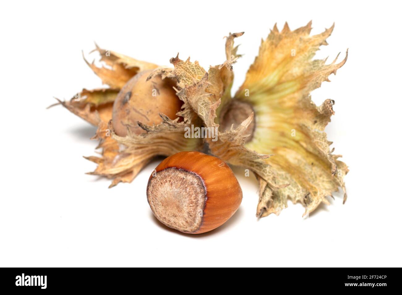 Fresh hazelnut close up isolated on white background Stock Photo - Alamy