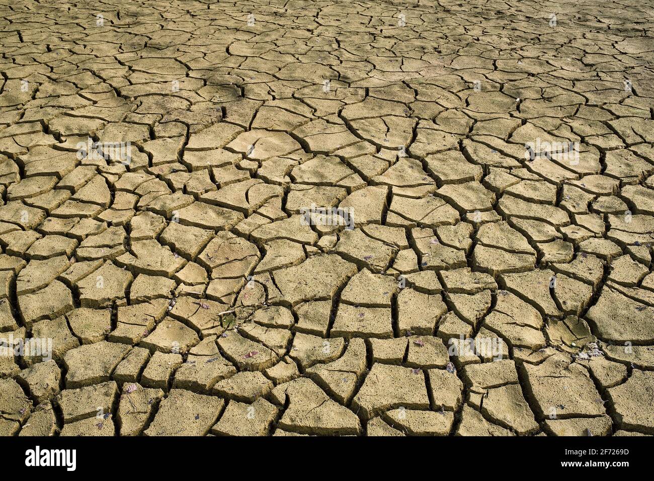 Cracked earth pattern hi-res stock photography and images - Alamy