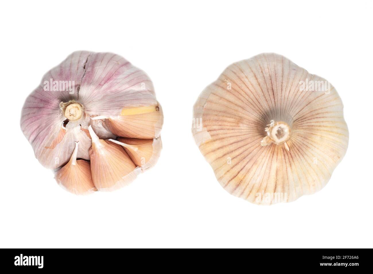Garlic isolated on white background top view Stock Photo - Alamy