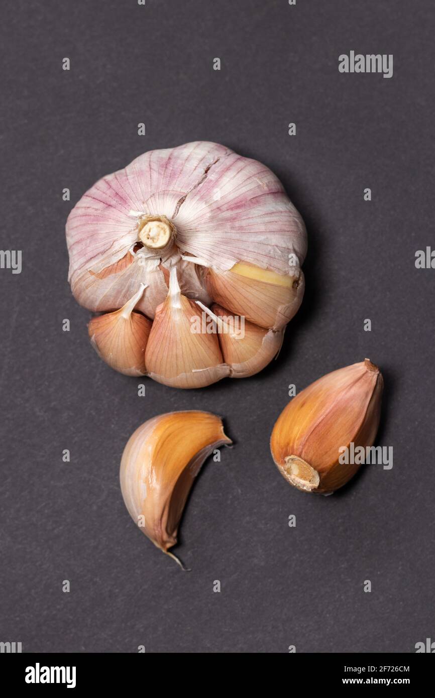 Garlic clove cloves healthy spice on a darck background Stock Photo - Alamy