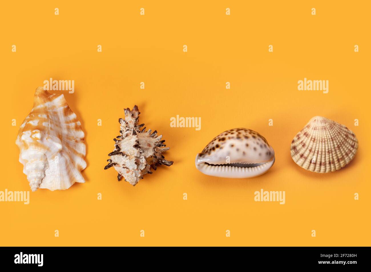 Shellfish assortment hi-res stock photography and images - Alamy
