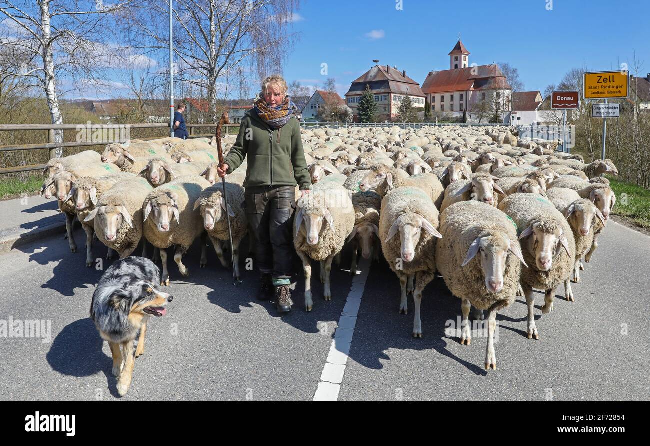 Wandering shepherdess hi-res stock photography and images - Alamy