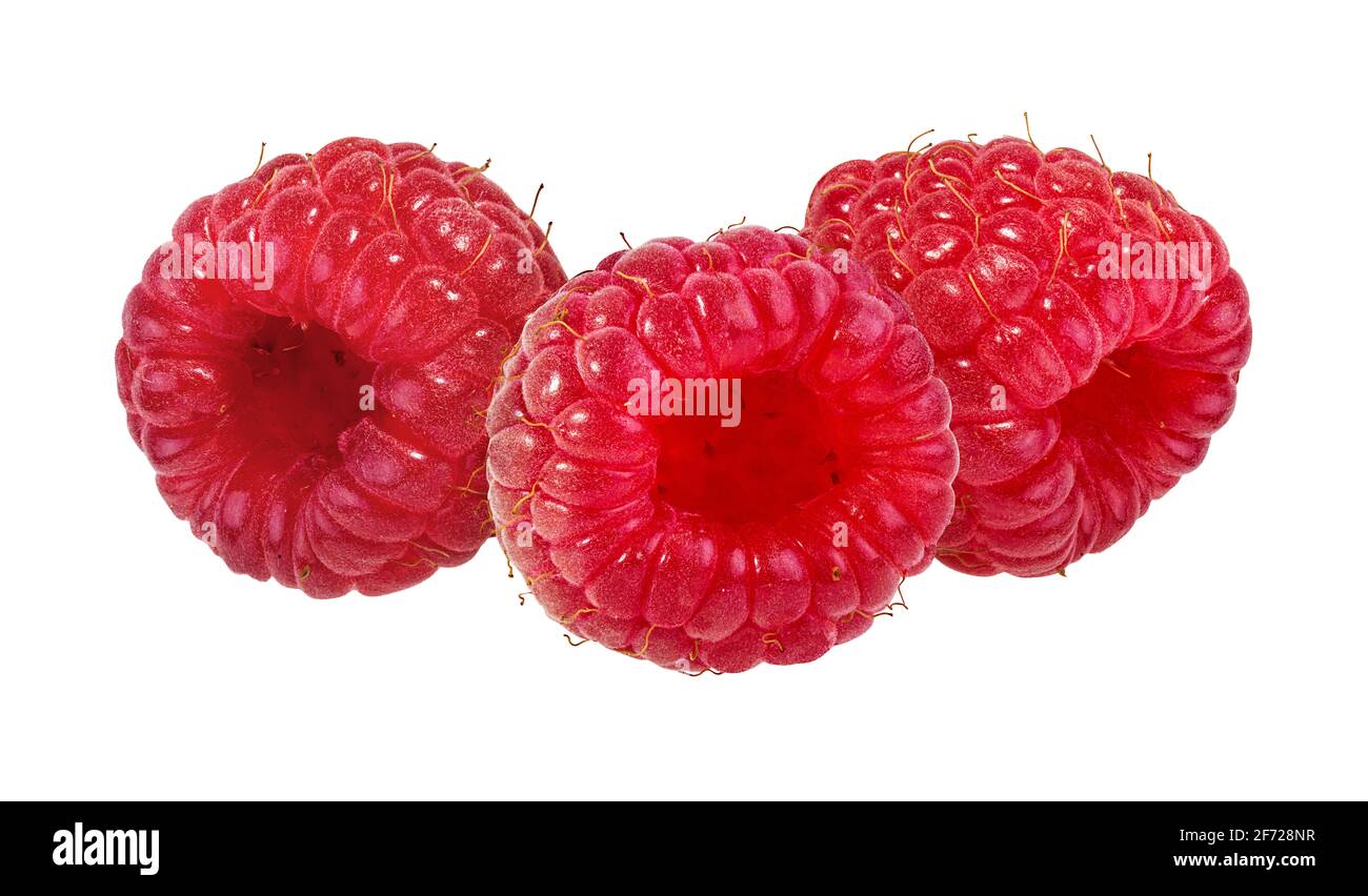 Raspberry with leaf isolated on white Stock Photo - Alamy