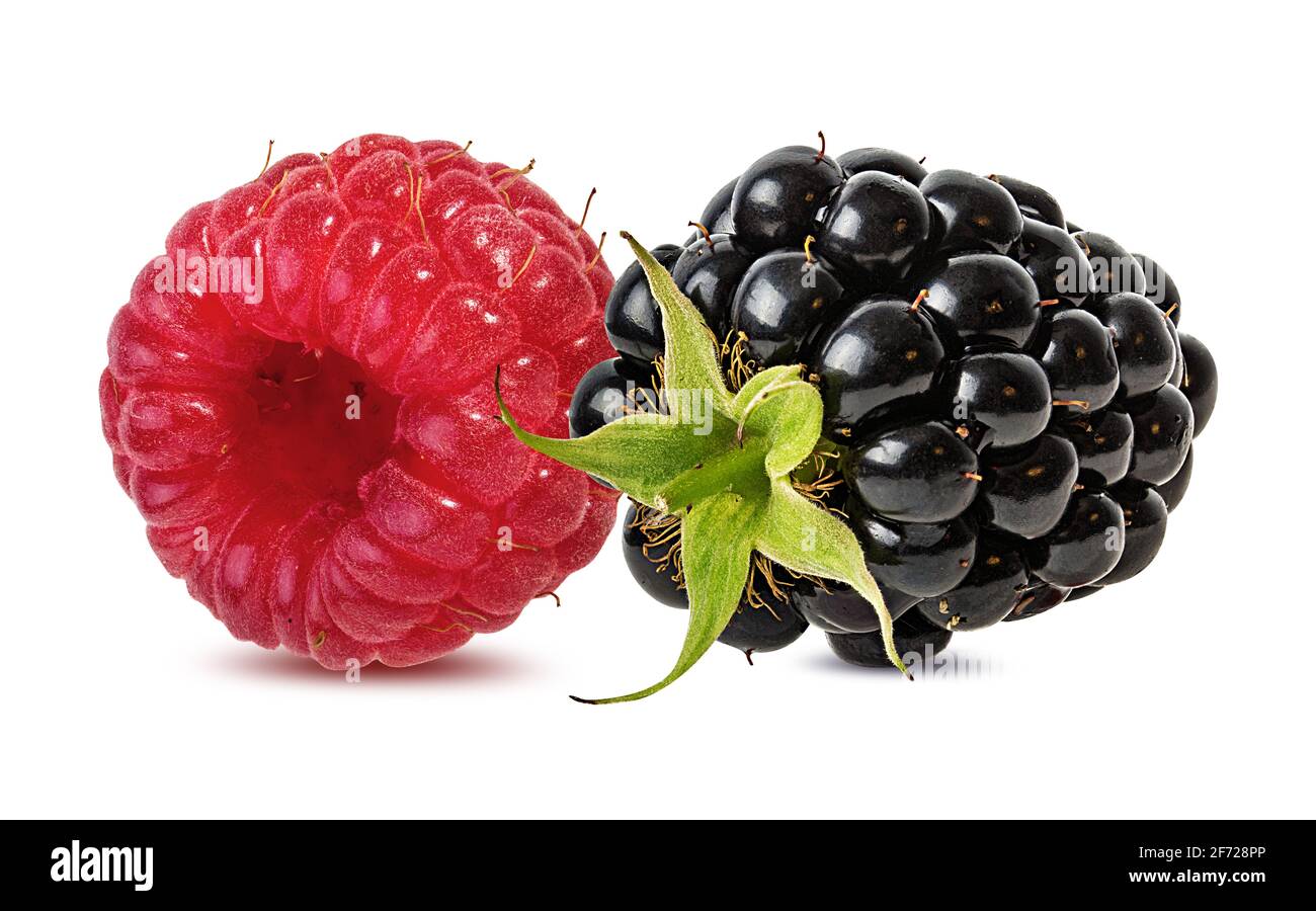 blackberry and raspberries isolated on a white background Stock Photo ...