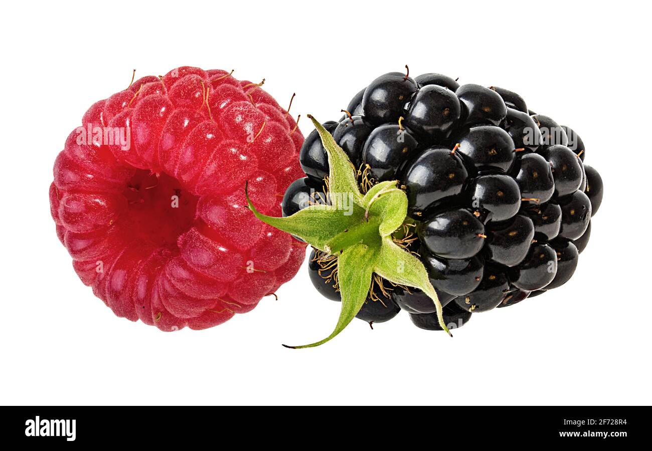 blackberry and raspberries isolated on a white background Stock Photo ...