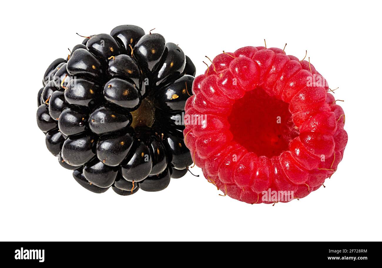 blackberry and raspberries isolated on a white background Stock Photo ...