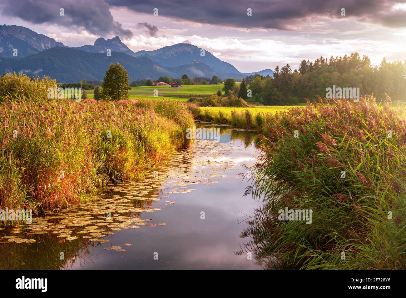Hopfensee Achen Landscape Bavaria Germany Stock Photo - Alamy