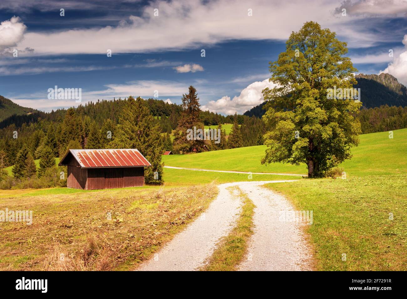 Bavaria forest cabin hi-res stock photography and images - Alamy