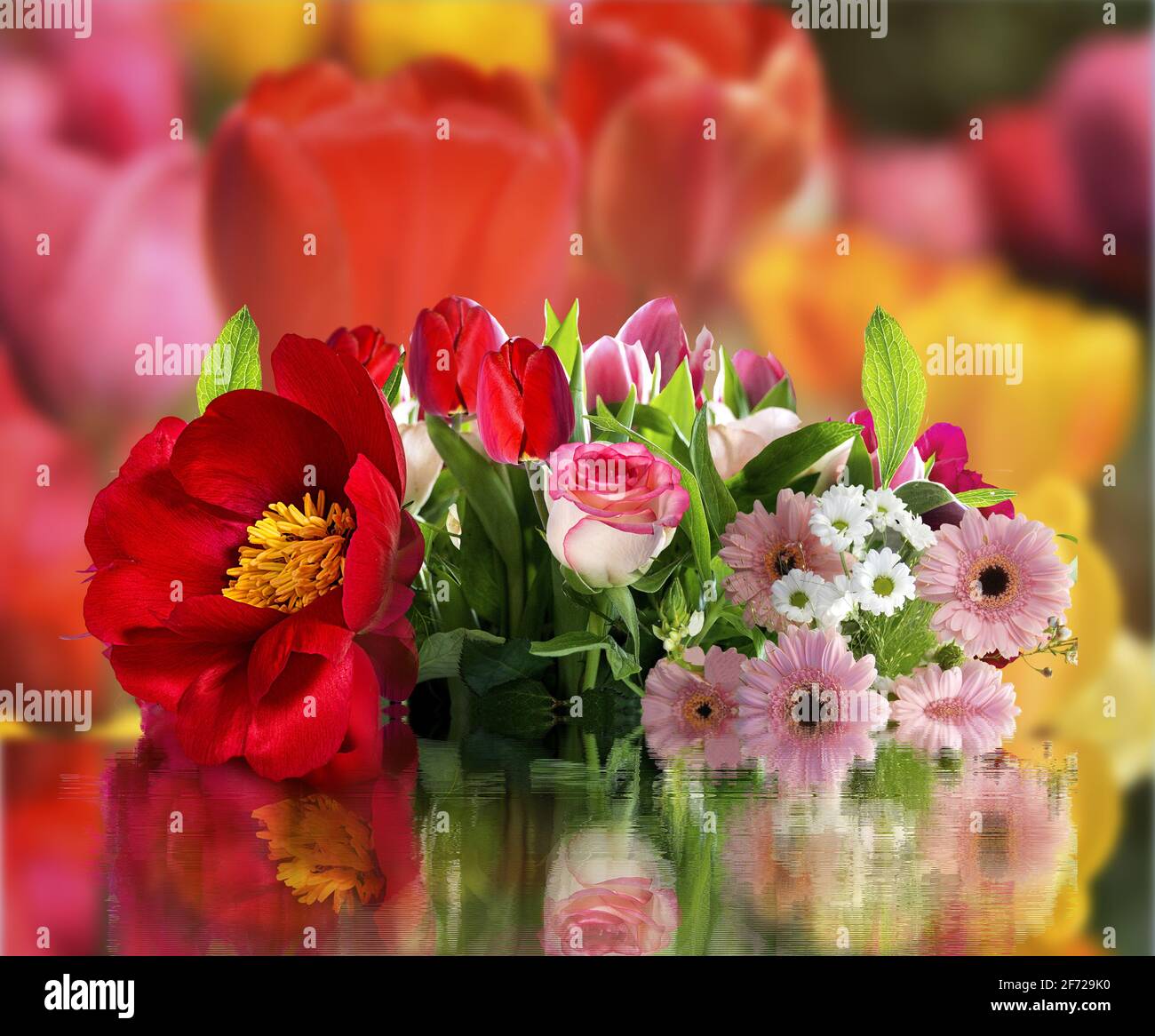 Flowers and nature spring bokeh background reflection in water Stock ...