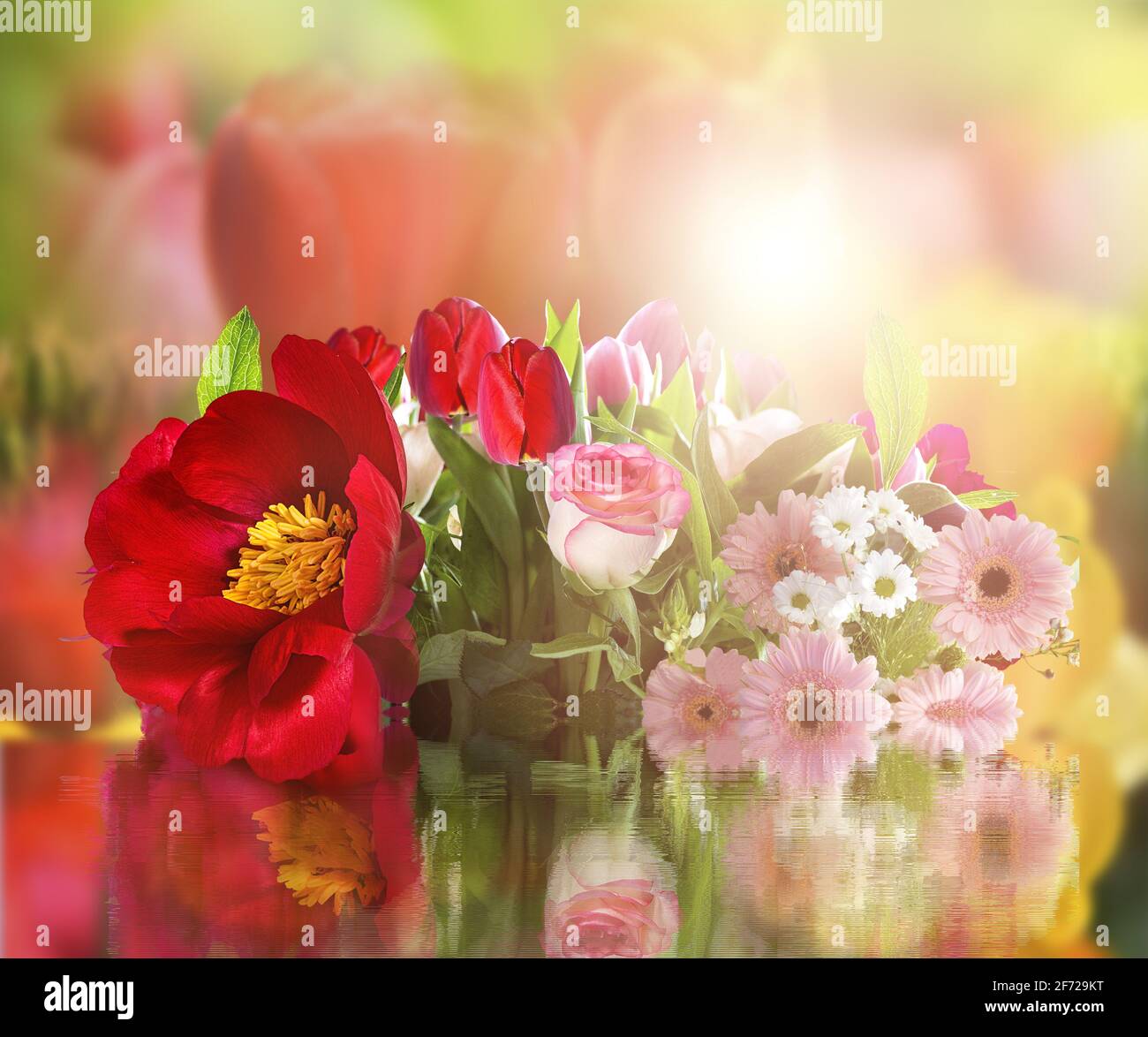 Gerberas in water hi-res stock photography and images - Alamy