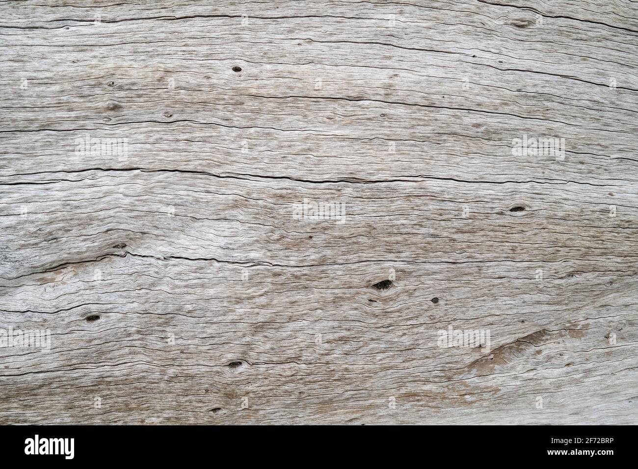 Drift wood pattern hi-res stock photography and images - Alamy