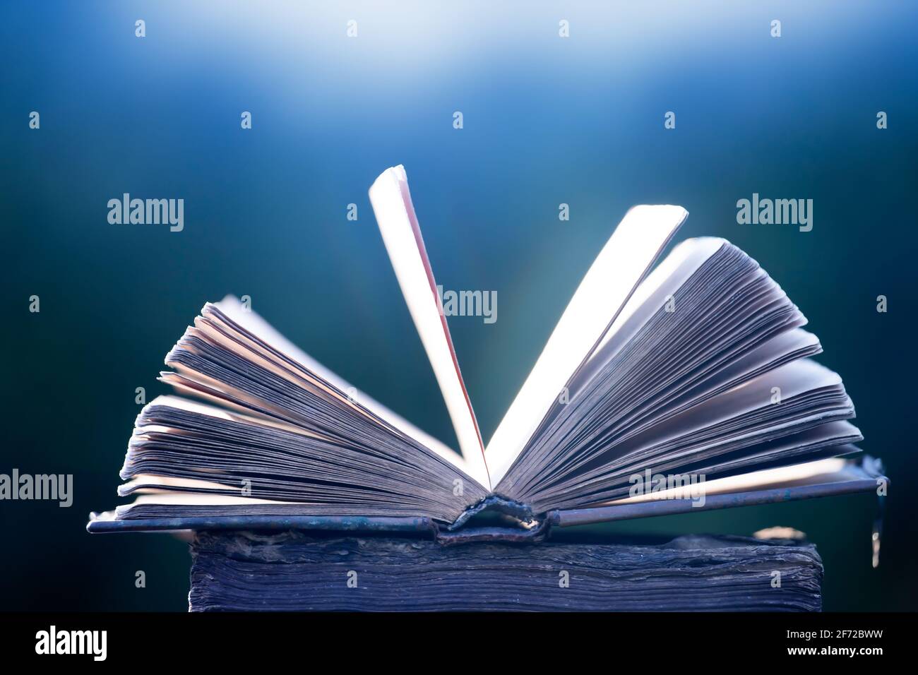 Literature, reading concept: old open book Stock Photo - Alamy