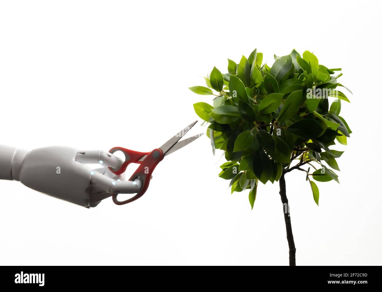Robot hand hold scissors trimming plant isolated on white Stock Photo ...