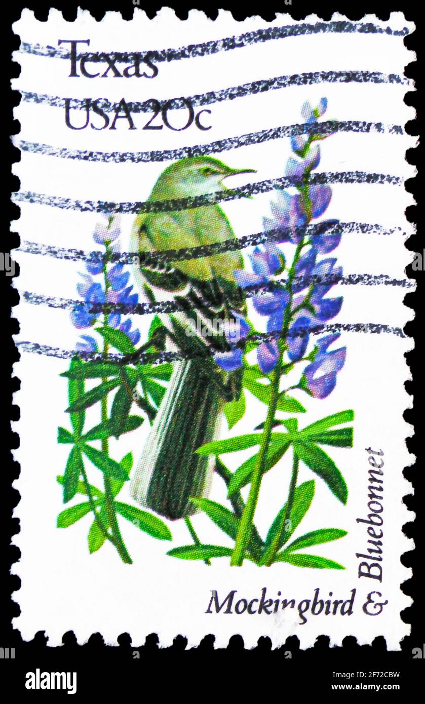 Bluebonnet bird hi-res stock photography and images - Alamy