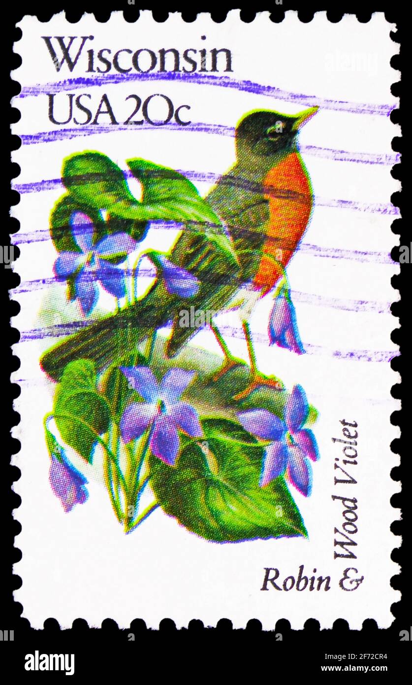 American robin flower garden hi-res stock photography and images - Alamy