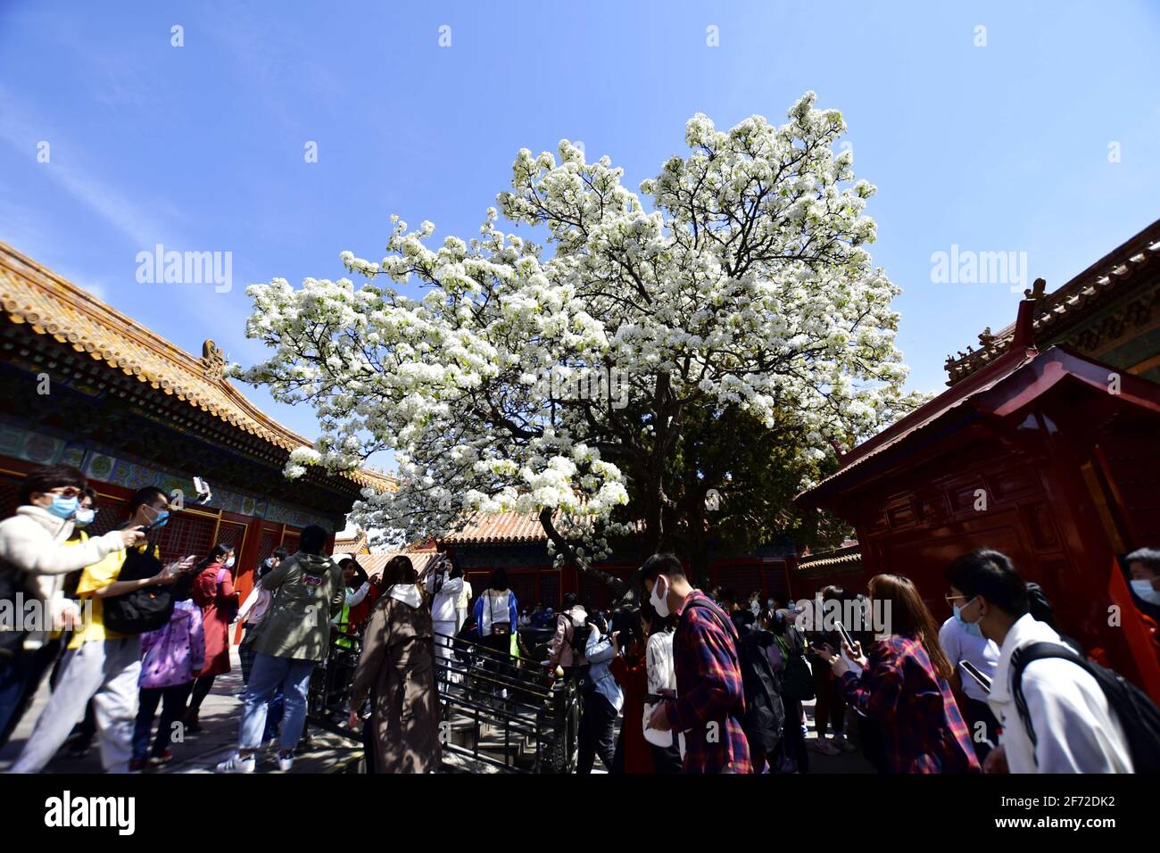 BEIJING, CHINA - APRIL 4, 2021 - Tourists enjoy spring scenery at the ...