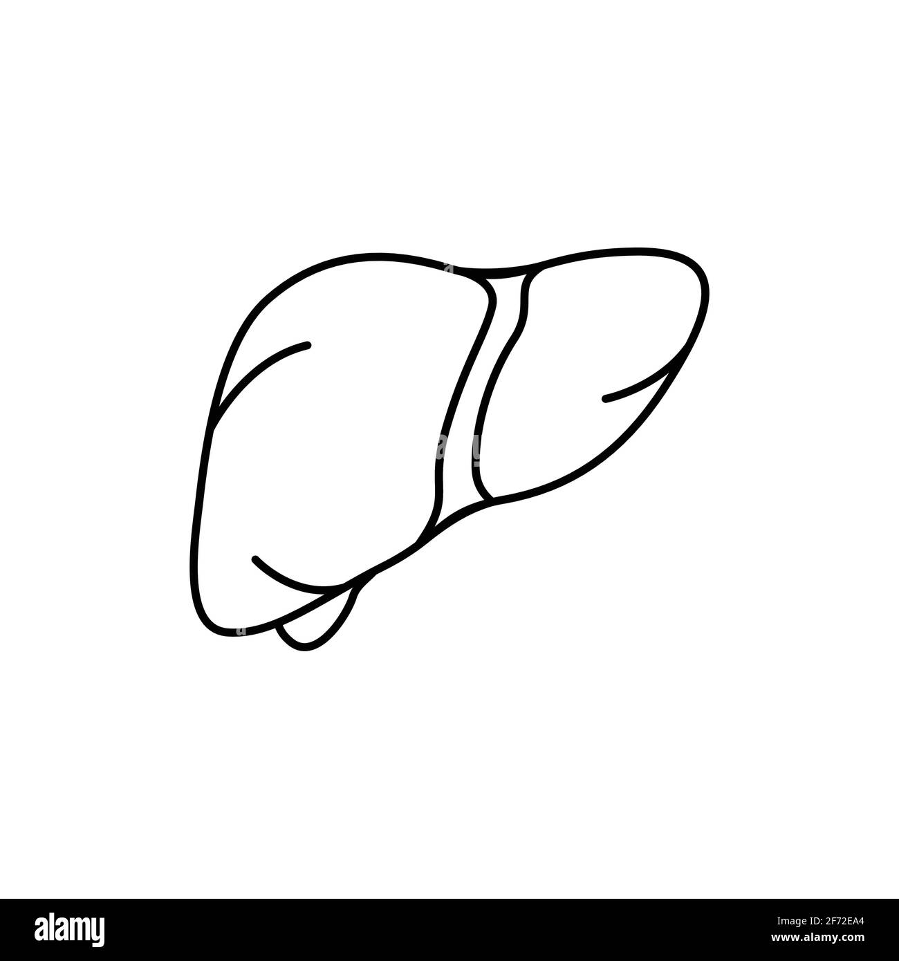 Liver Coloring Page