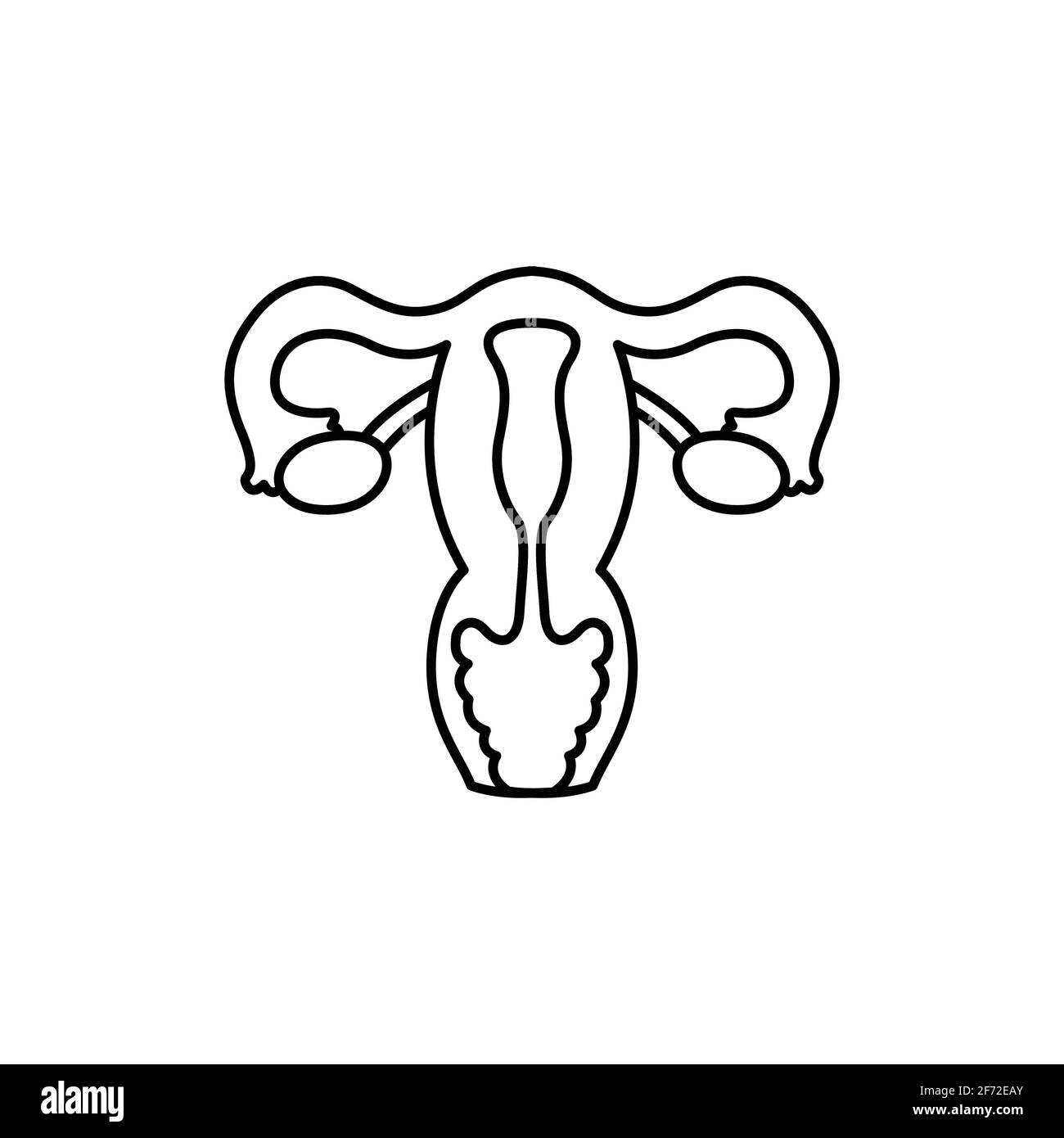 Human organ uterus color line icon. Pictogram for web page, mobile app ...