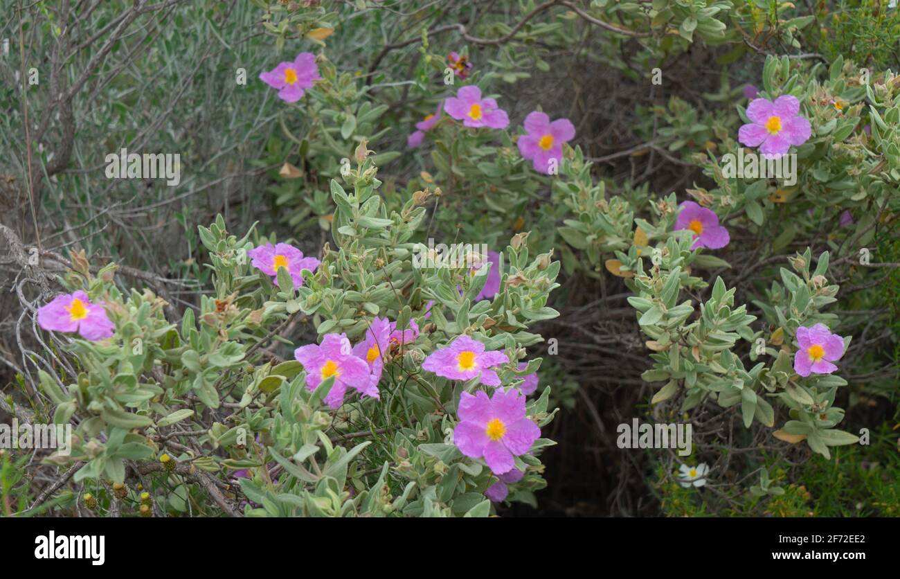 Farmer solidarity hi-res stock photography and images - Alamy