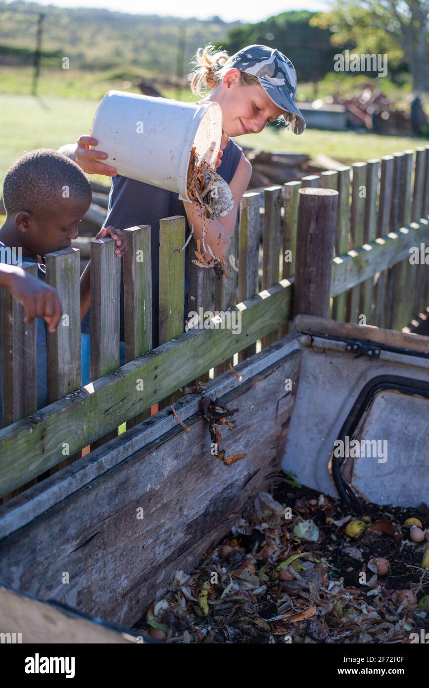 Primary age children emptying food scraps into a compost bin Stock ...