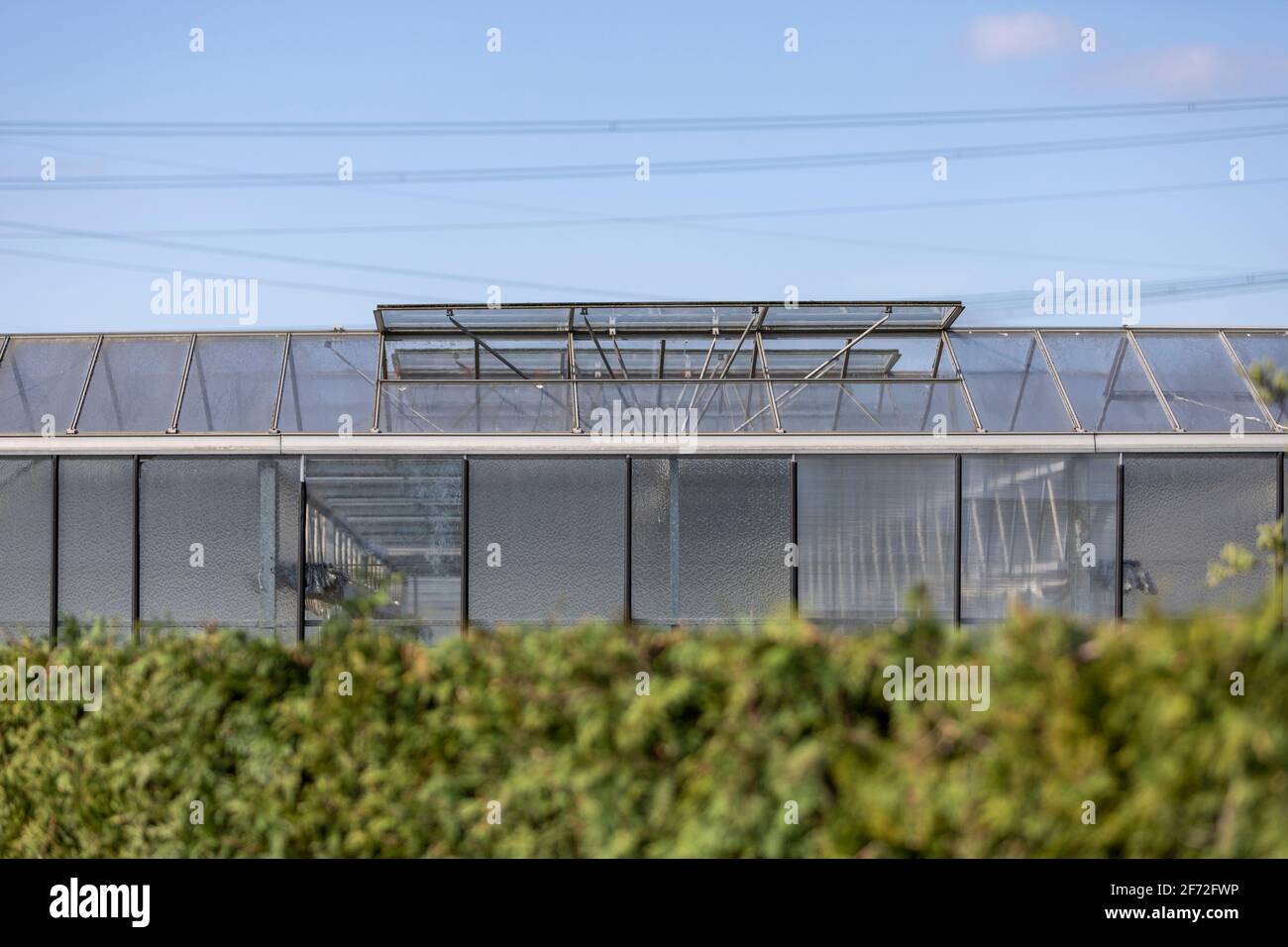 open window of a greenhouse, glasshouse to grow plants Stock Photo - Alamy