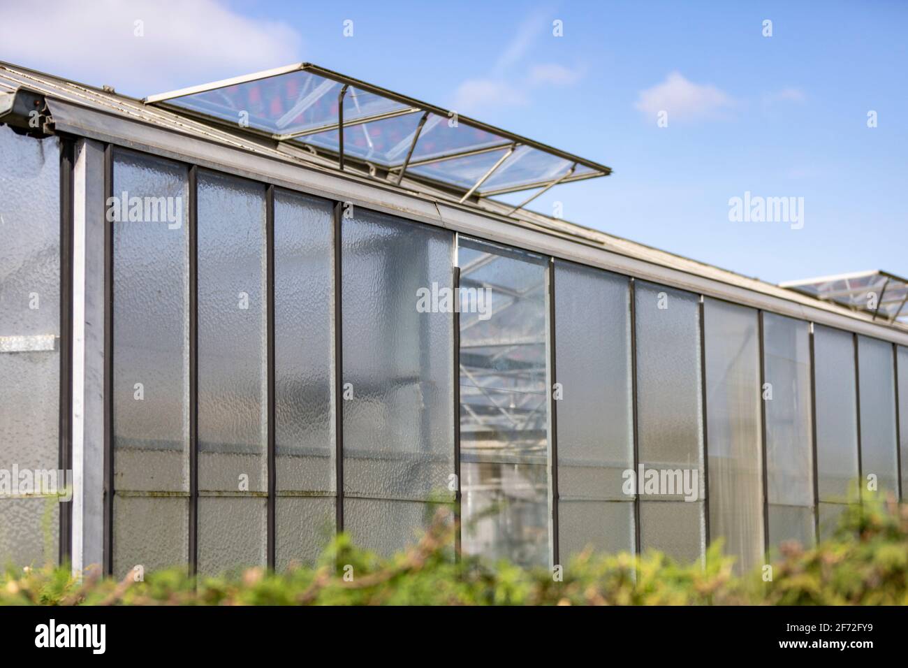 open window of a greenhouse, glasshouse to grow plants Stock Photo - Alamy