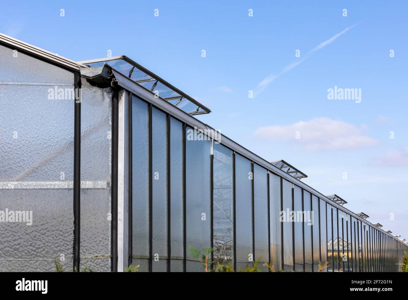 Open greenhouse window hi-res stock photography and images - Alamy