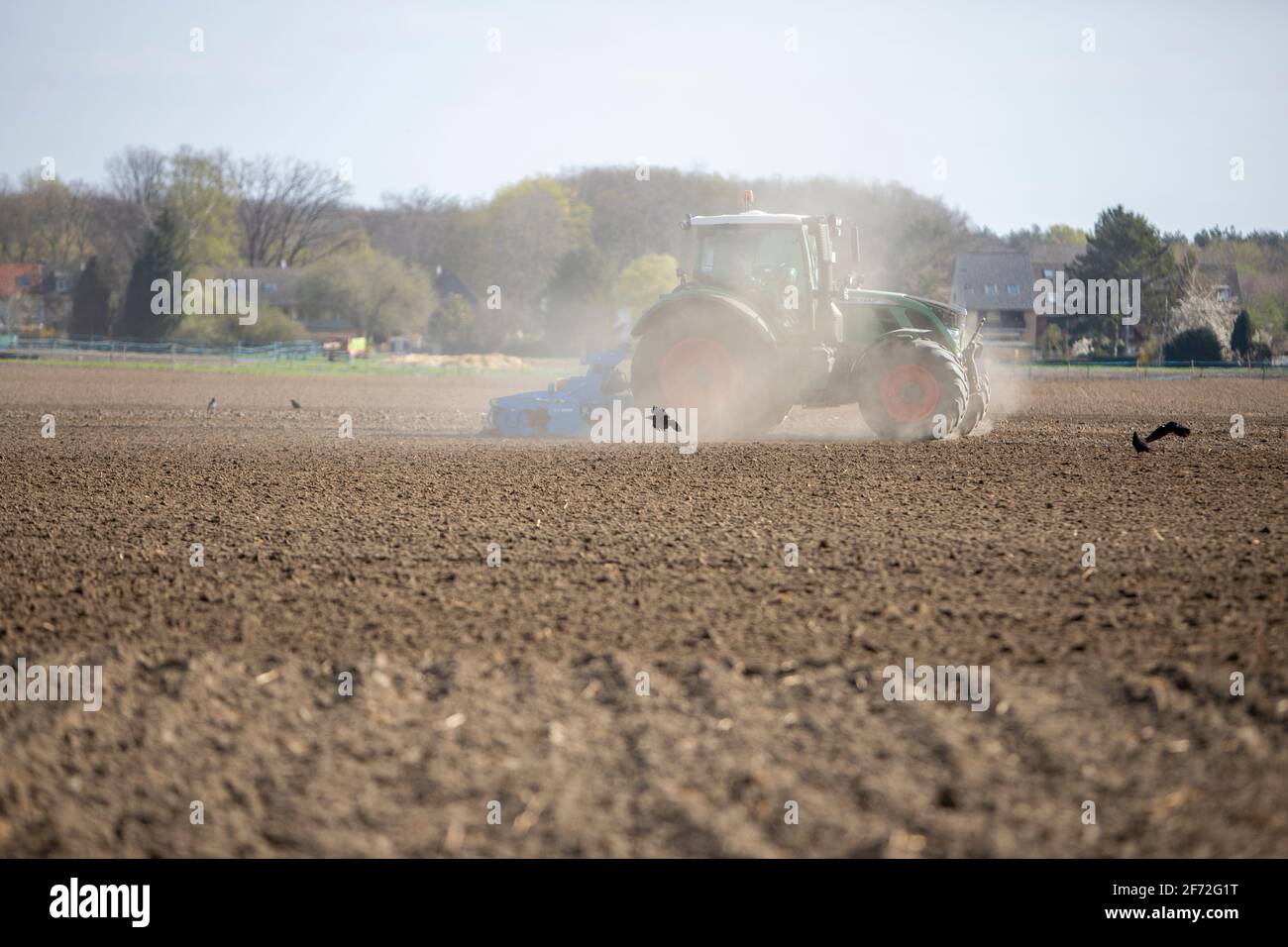 Huerth, NRW, Germany, 04 03 2021, tractor with harrow on a field, dust ...