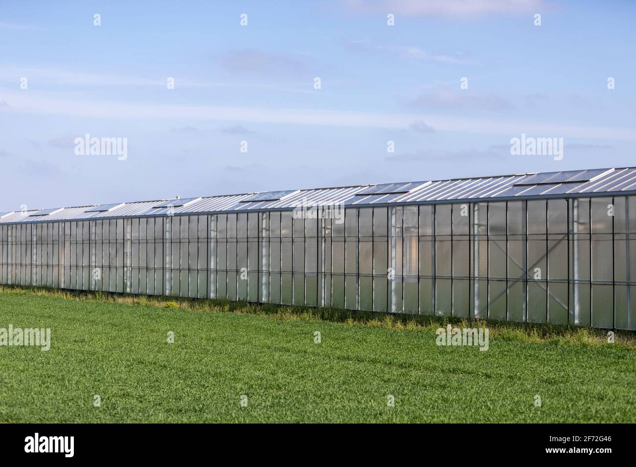 side view of a greenhouse, glasshouse to grow plants Stock Photo - Alamy