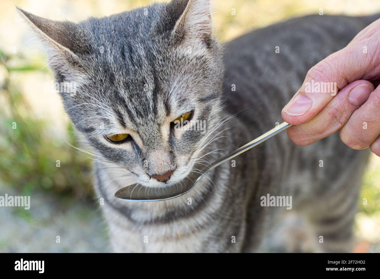 Spoon feeding hi-res stock photography and images - Alamy