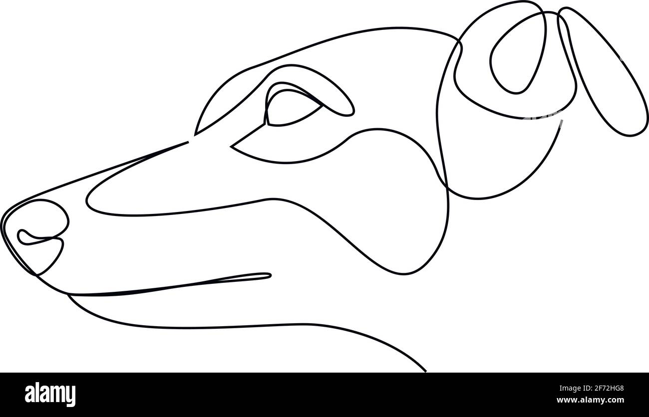Continuous line Whippet. Single line minimal style English Whippet or ...