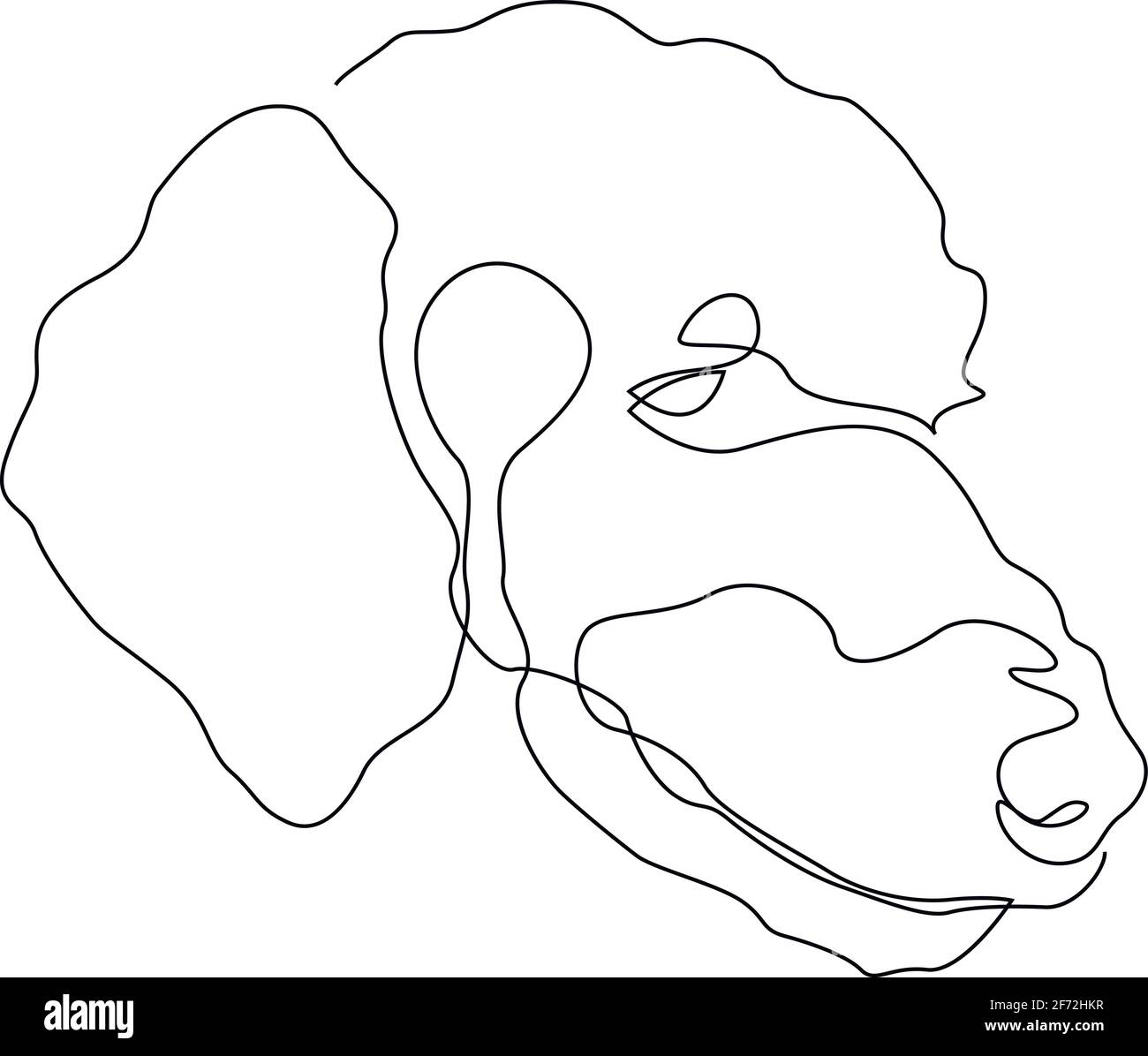 Single continuous line poodle dog portrait. Dog head one line drawing ...