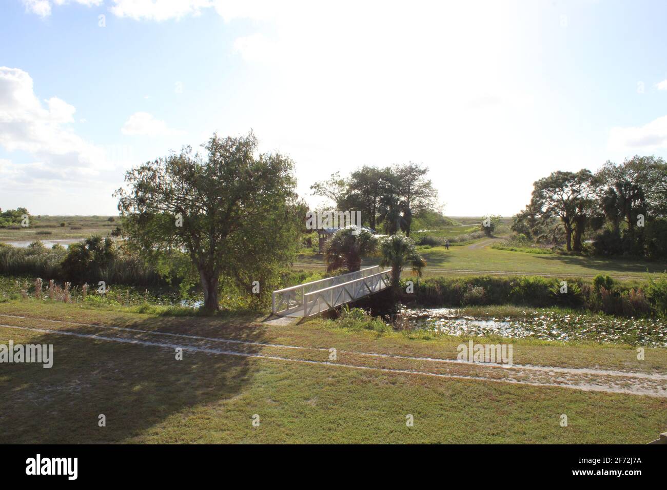 Binoculars in a swamp tower in Florida Stock Photo - Alamy