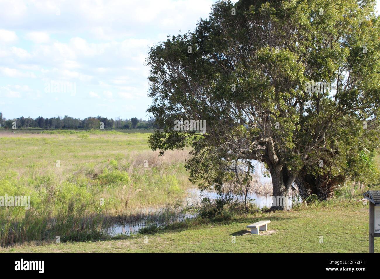 Binoculars in a swamp tower in Florida Stock Photo - Alamy