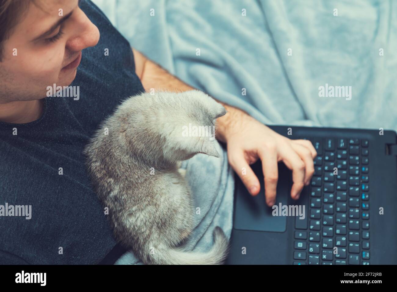 Young man with kitten working at his laptop. The concept of online ...