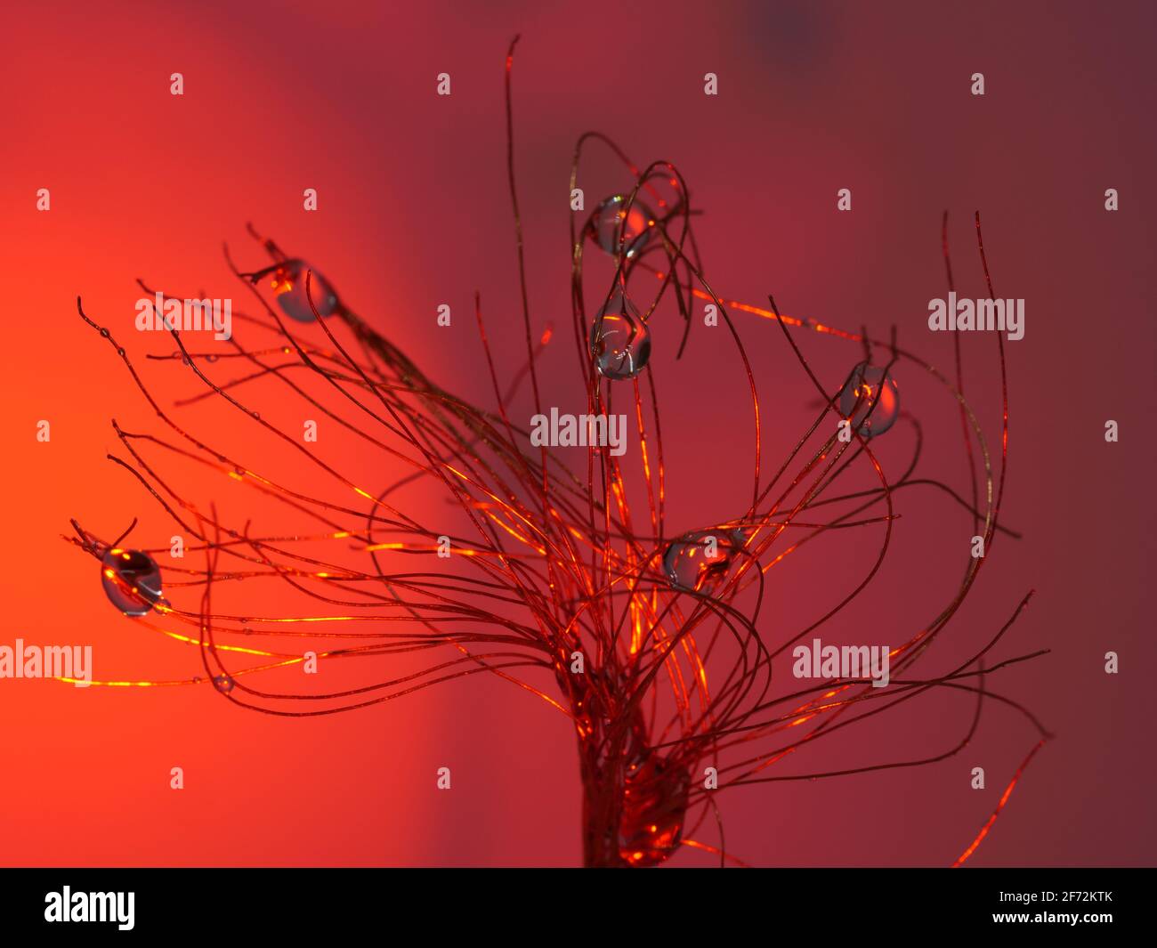 Abstract Macro Photography droplets, glass and metal Stock Photo - Alamy