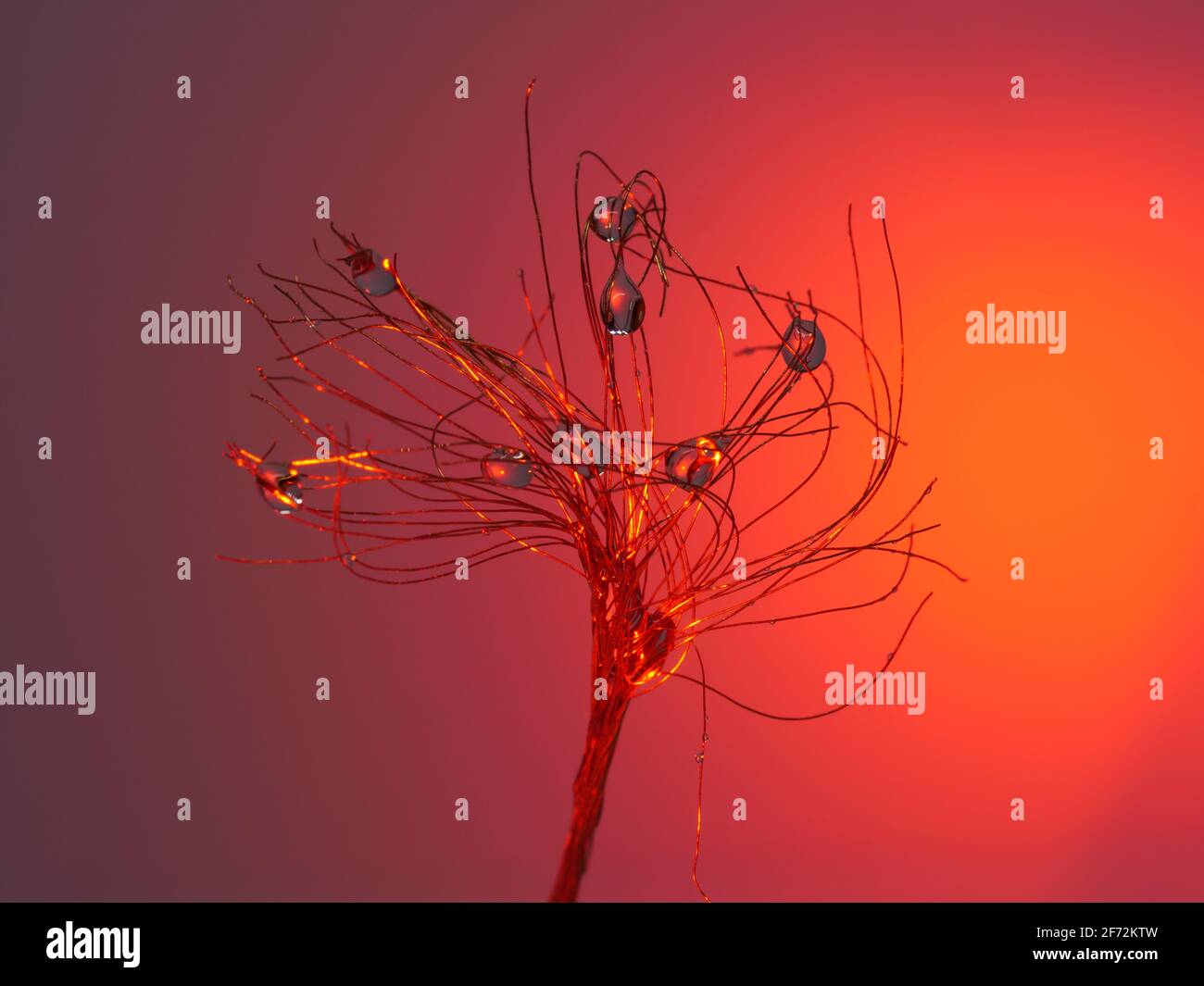 Abstract Macro Photography droplets, glass and metal Stock Photo - Alamy