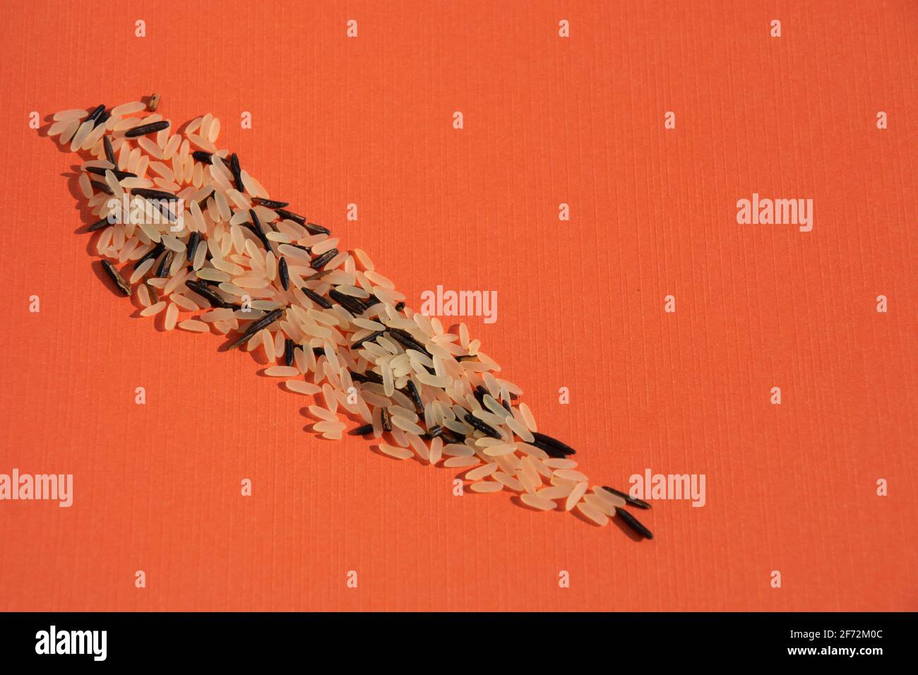 raw wild rice theme background on orange paper sheet with copyspace ...