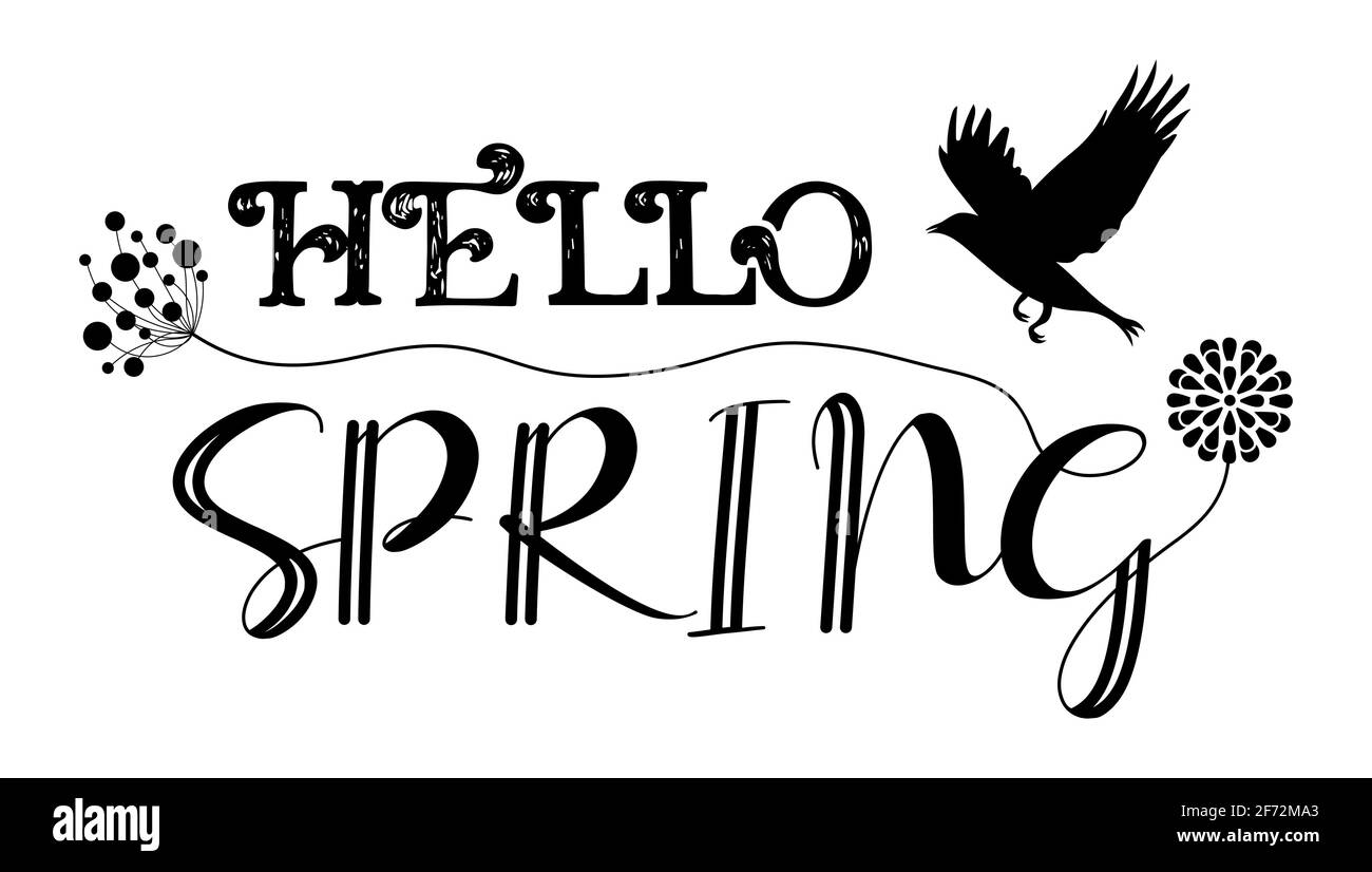 Hello Spring Sign with flower and flying bird silhouette on white ...