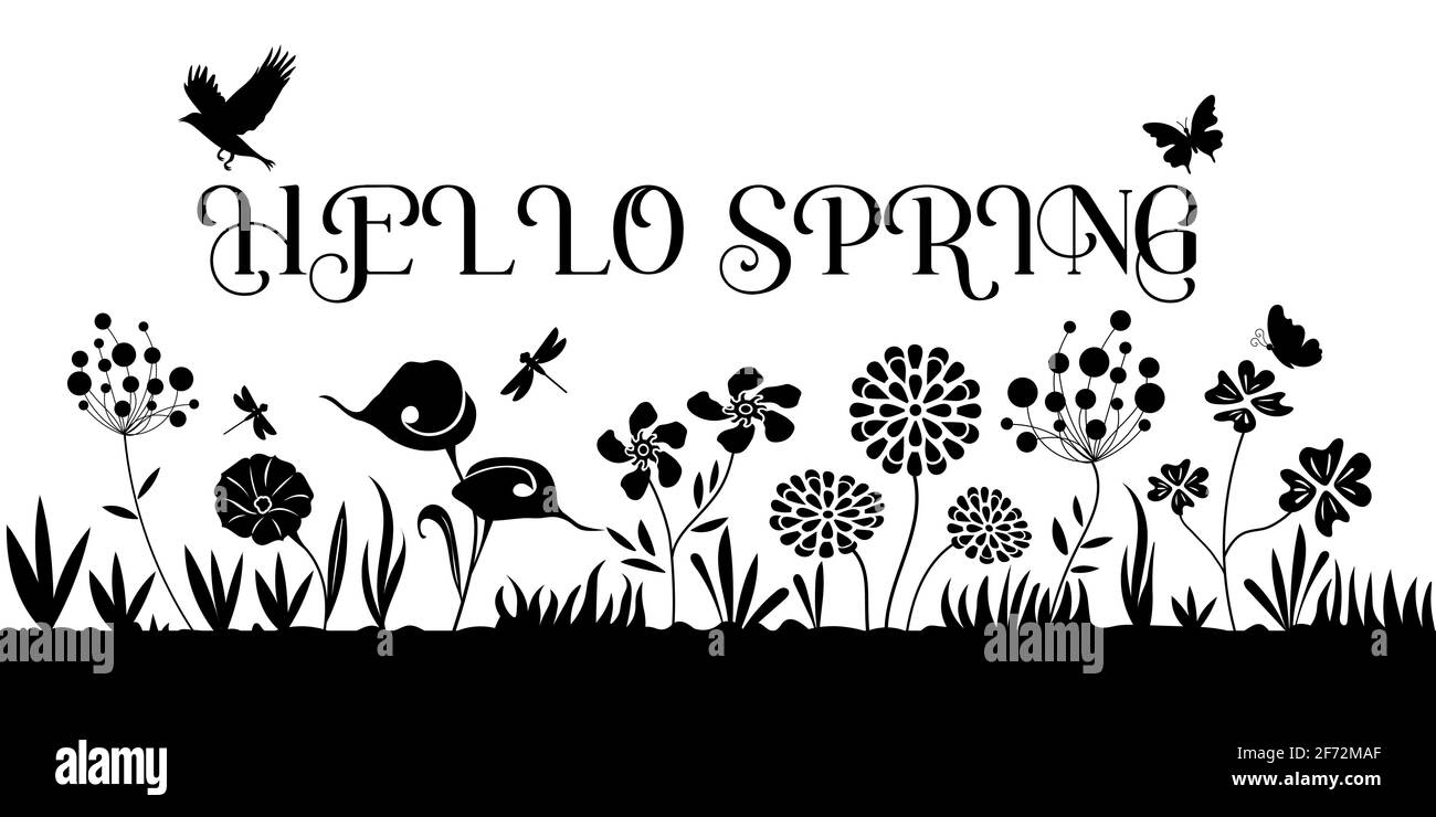 Hello Spring Sign with flower and flying bird silhouette on white ...