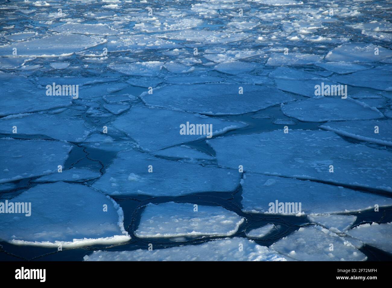 Sea ice floe edge hi-res stock photography and images - Alamy