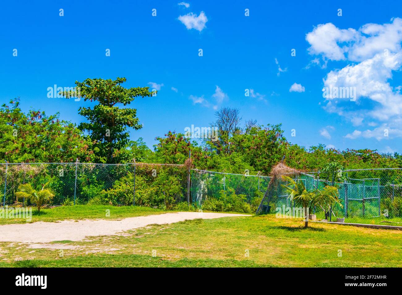 Entrance and path of tropical mexican beach 88 between natural huts in ...