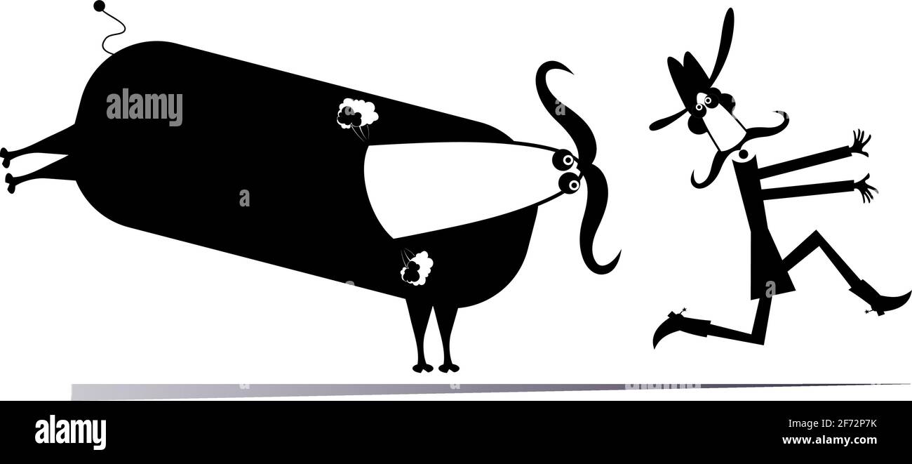 Farmer or cowboy and angry bull illustration. Frightened long mustache ...