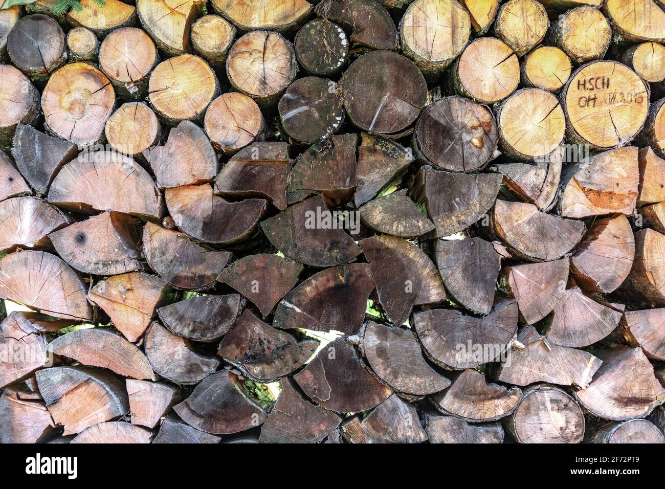 Stacked cut wood hi-res stock photography and images - Alamy