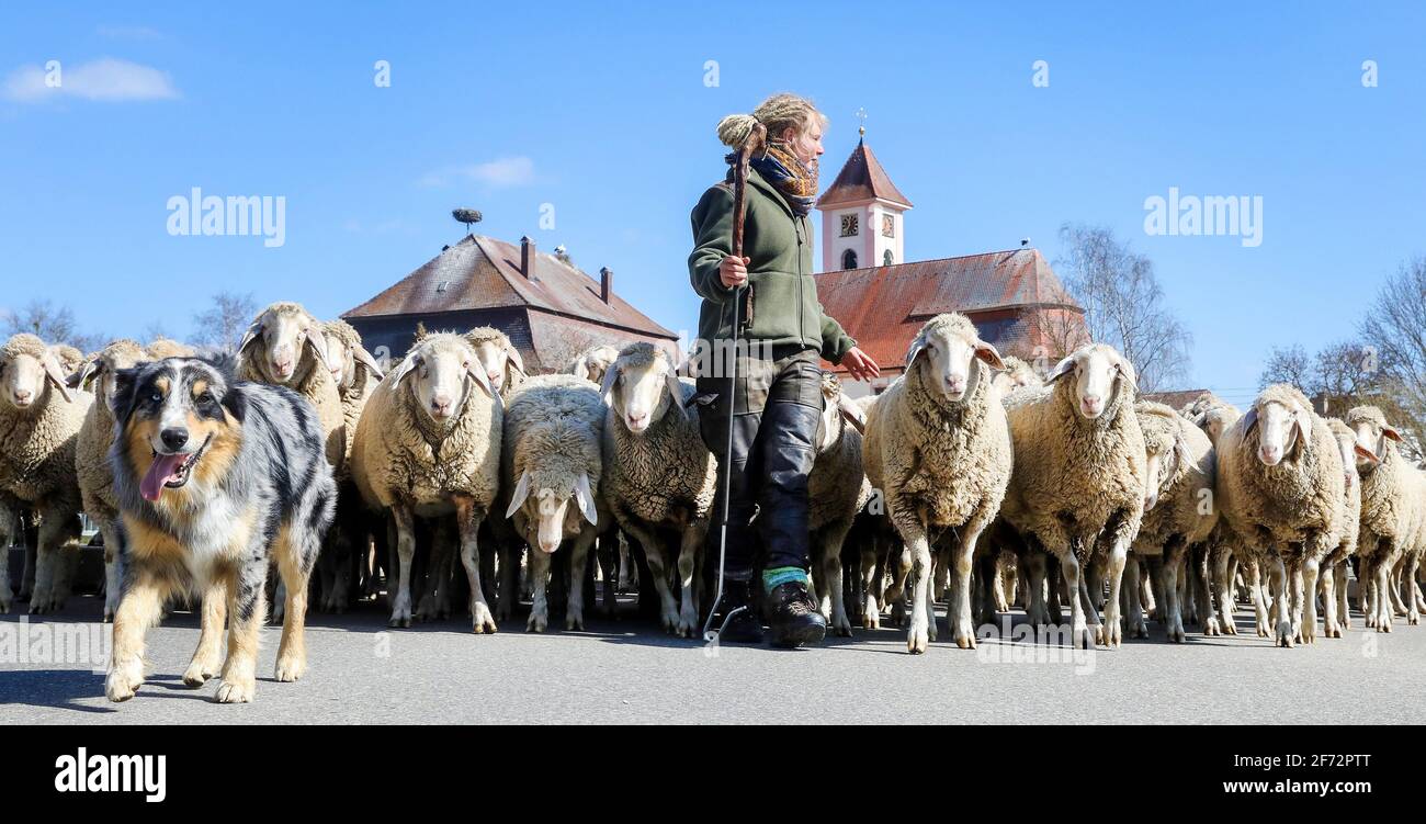 Wandering shepherdess hi-res stock photography and images - Alamy