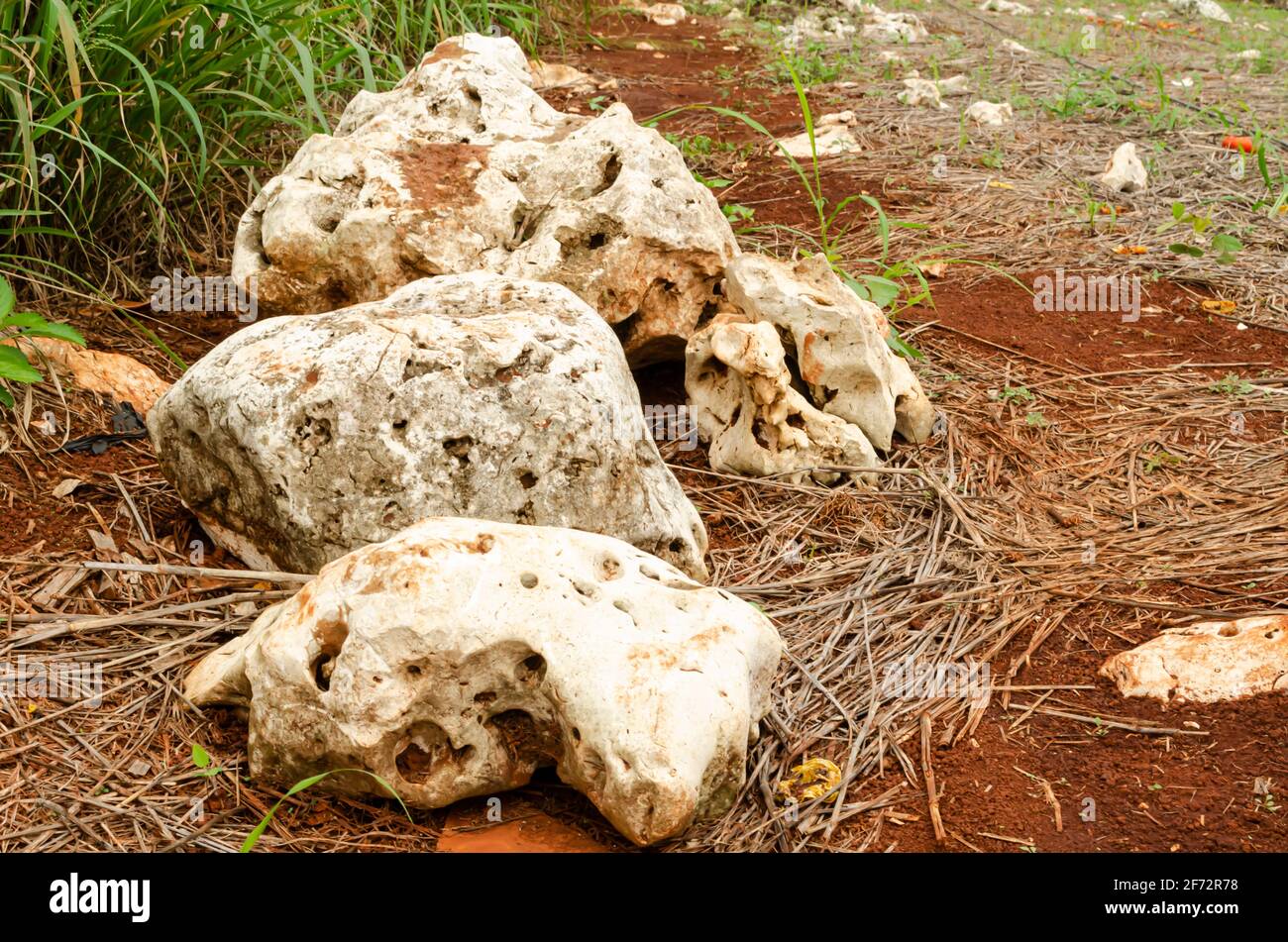 Stones soil dirt hi-res stock photography and images - Alamy