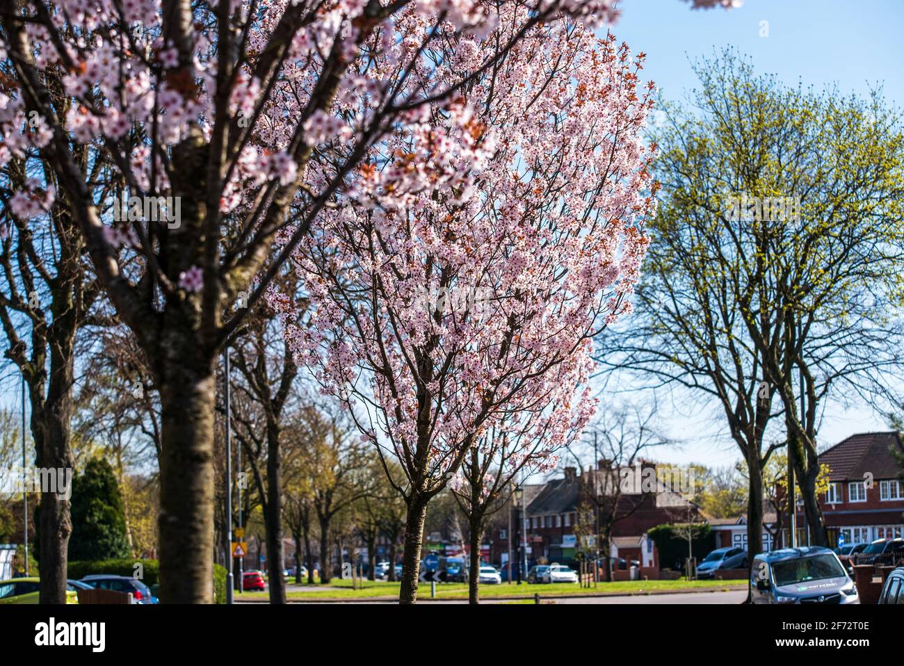 North and west birmingham hi-res stock photography and images - Alamy