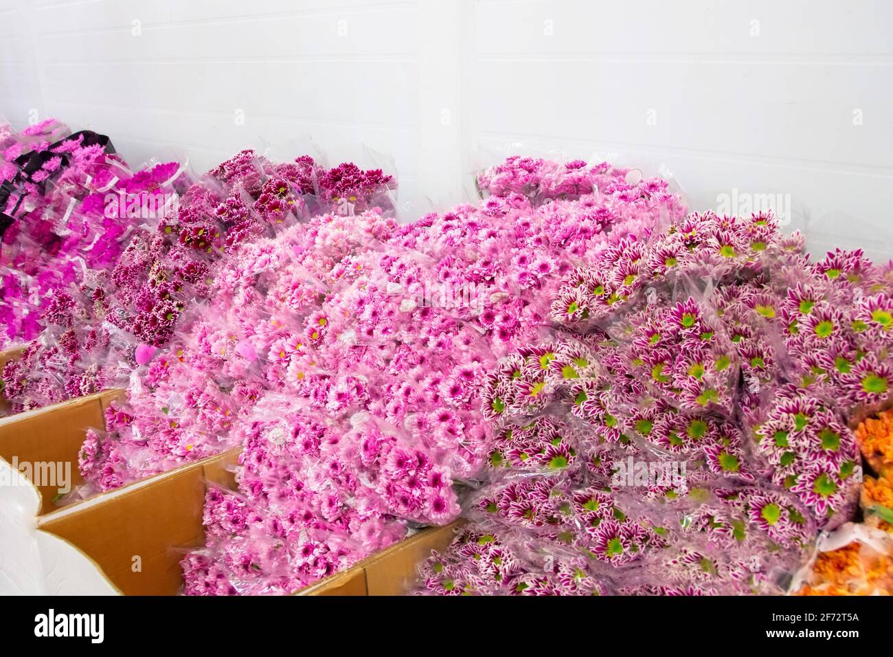 Boxes with various varieties of bouquets of flowers in the wholesale ...